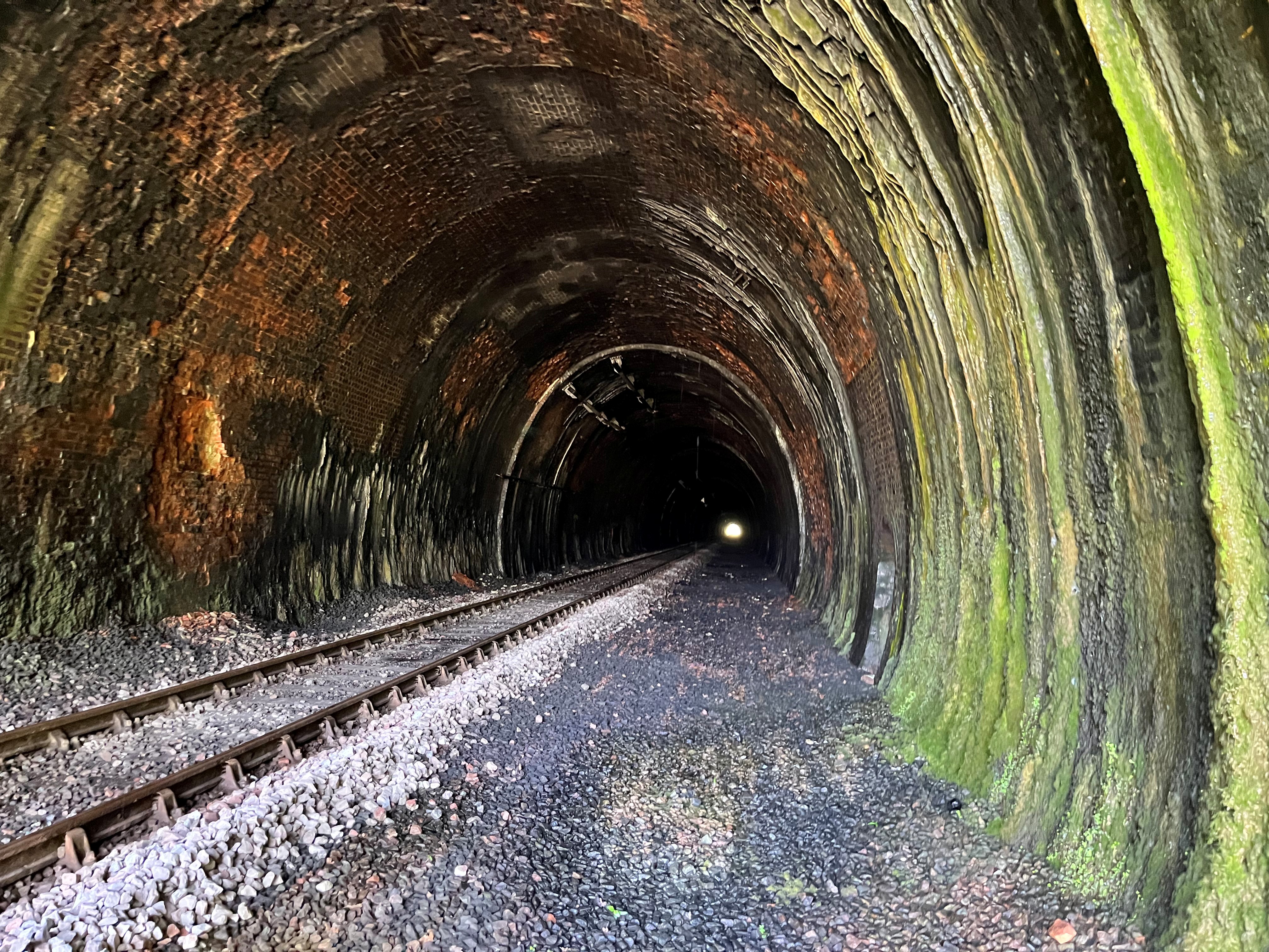 Improving tunnel examinations with digital imaging - NPL