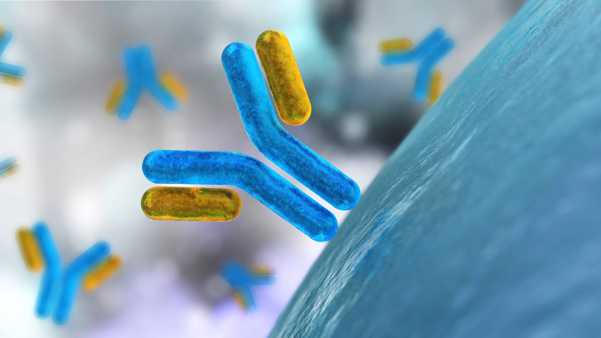 Rapid prediction of immunoassay performance - NPL