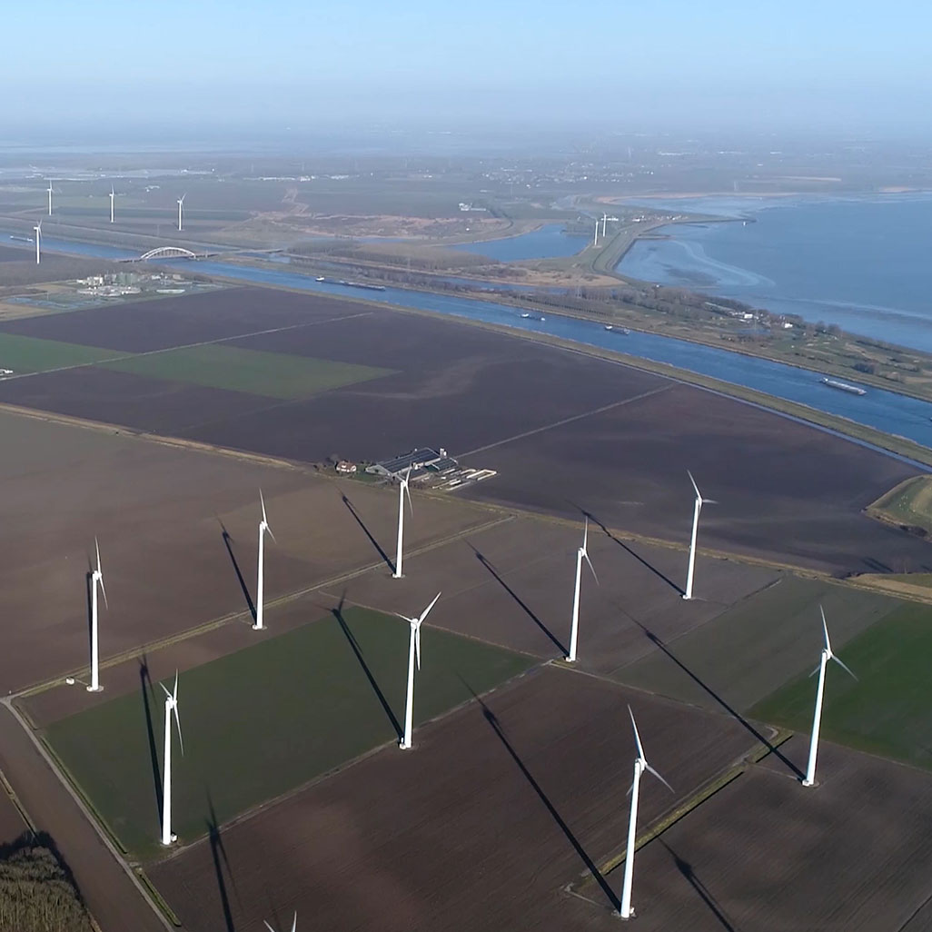 What is net zero? - NPL