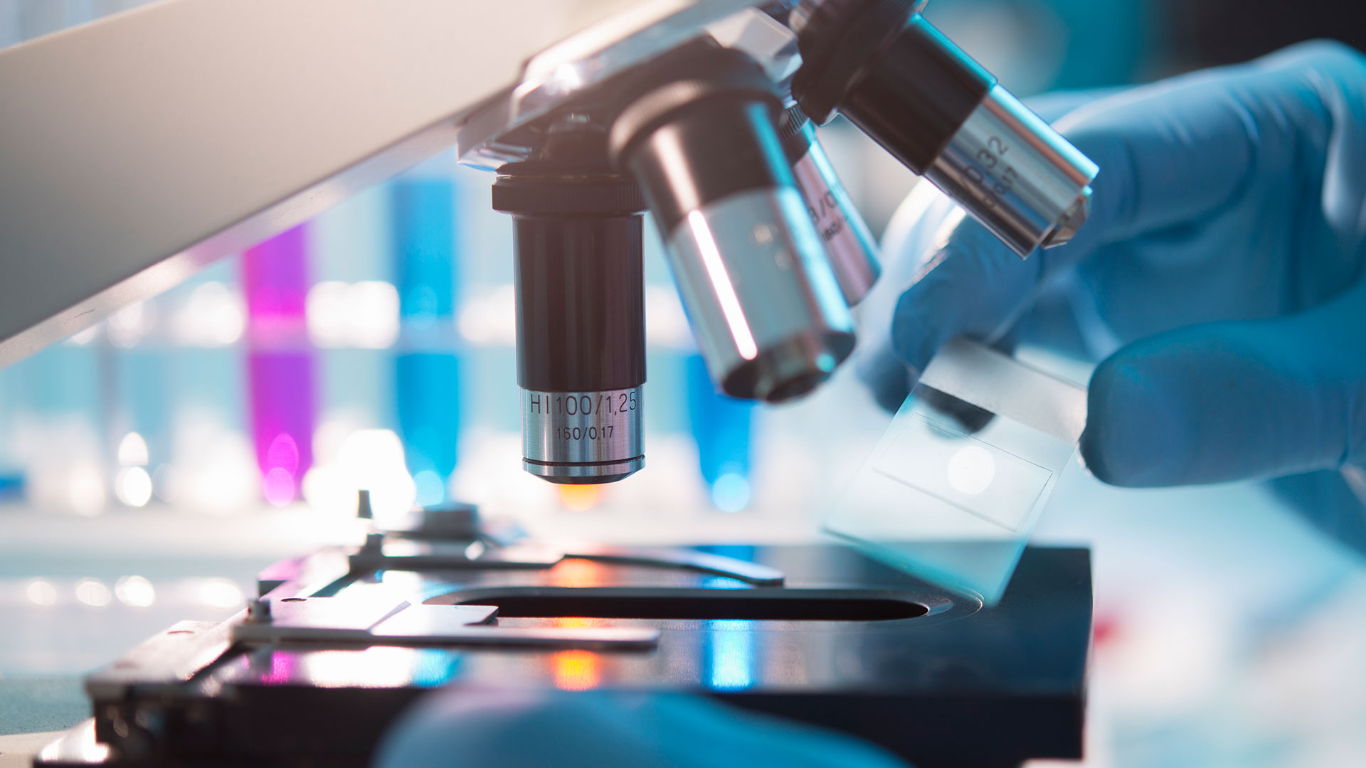 Using protein rulers to calibrate high-resolution microscopes - NPL