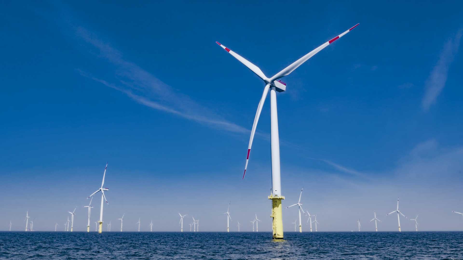 Monitoring the impact of offshore wind farms on marine wildlife - NPL